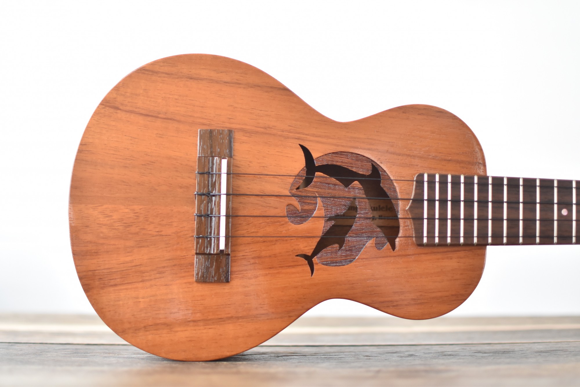 Gstring Concert Dolphin | Quiet Village